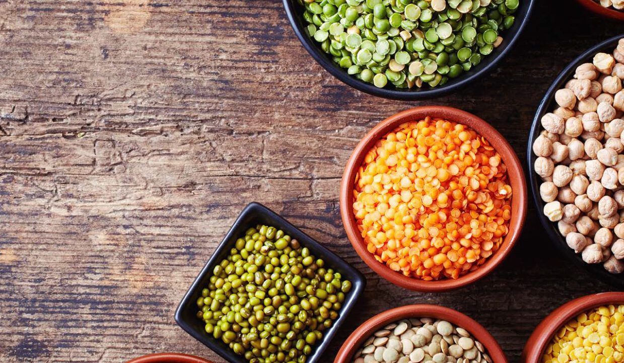 Palliser Alberta 2024